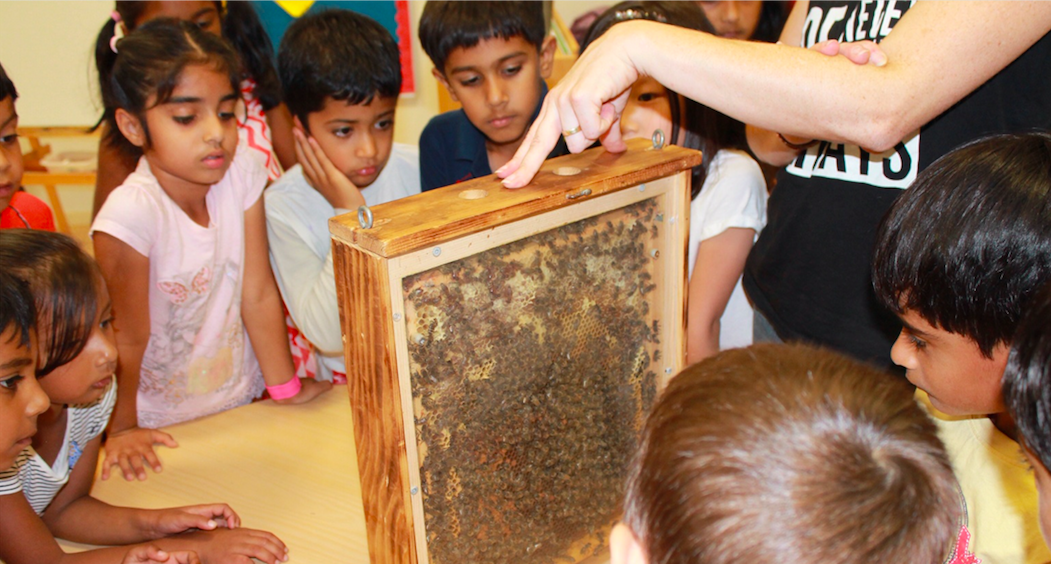 International School - Zurich North (ISZN), Switzerland - Cognita Schools